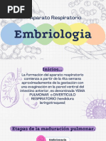 Sustancia Fundamental Amorfa y Forme | PDF | Tejido conectivo | Histología