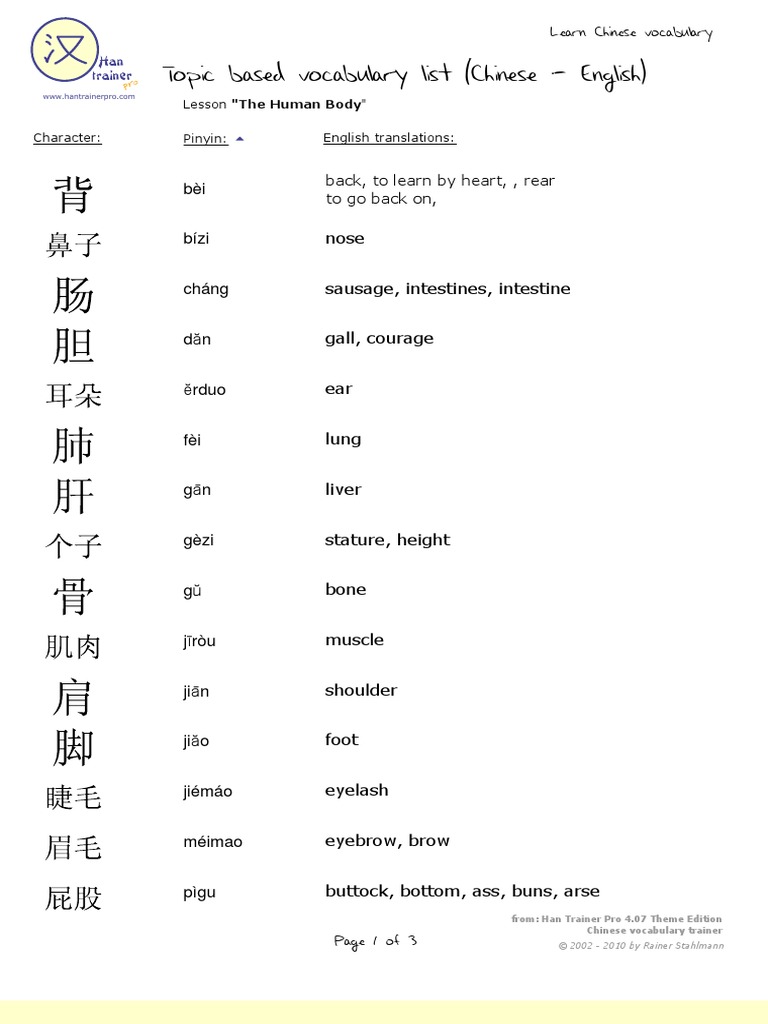 Chinese Vocabulary Body | PDF | Anatomy | Human Anatomy