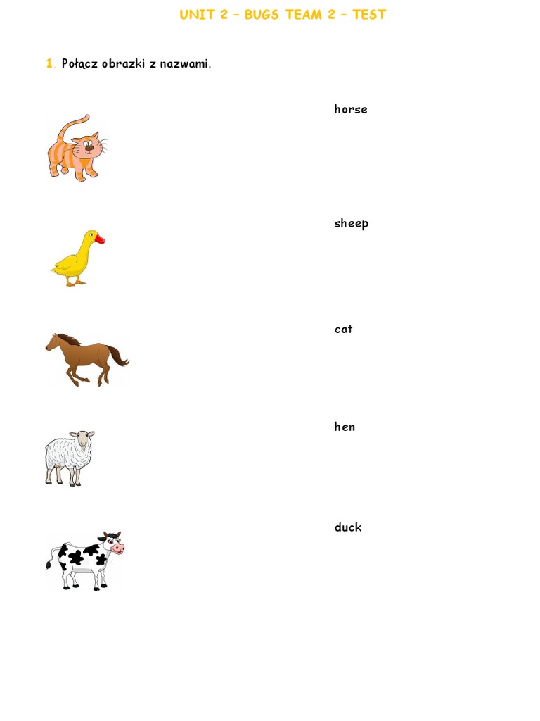 Unit 2 - Bugs Team 2 - Test | PDF