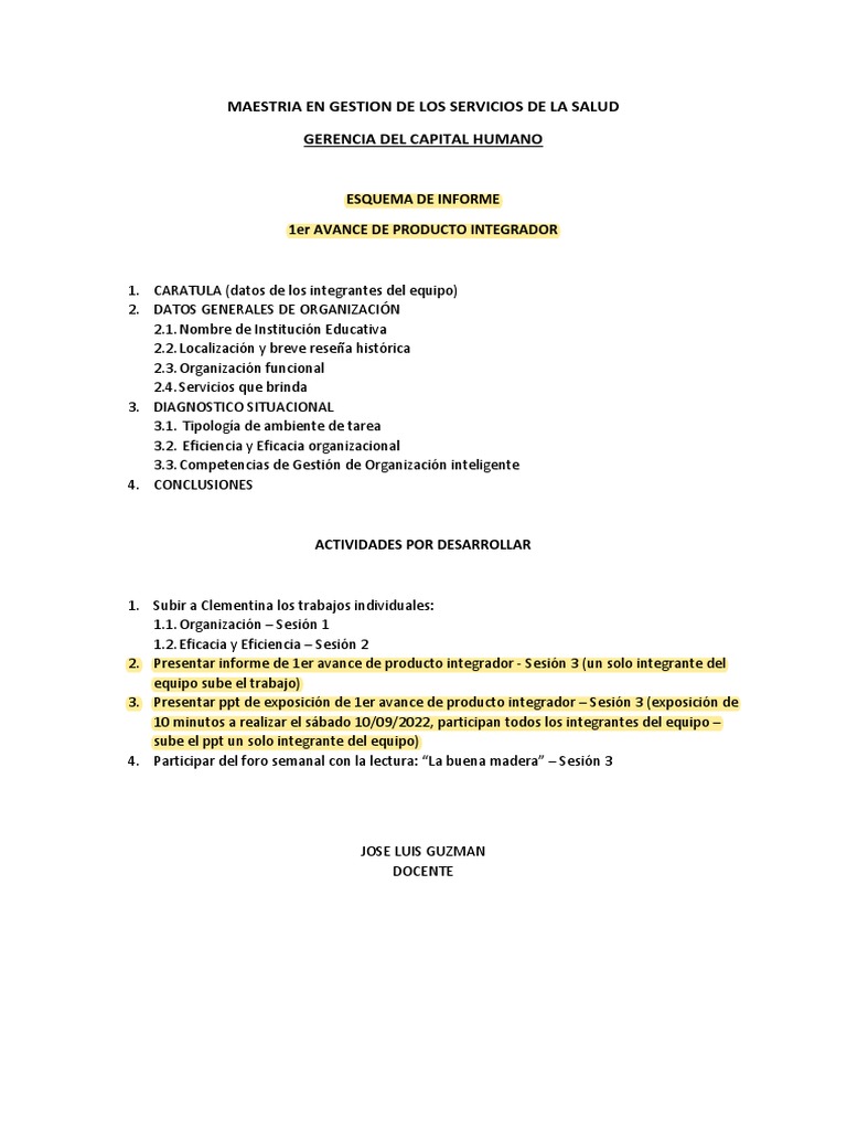 Esquema de Informe y Actividades | PDF