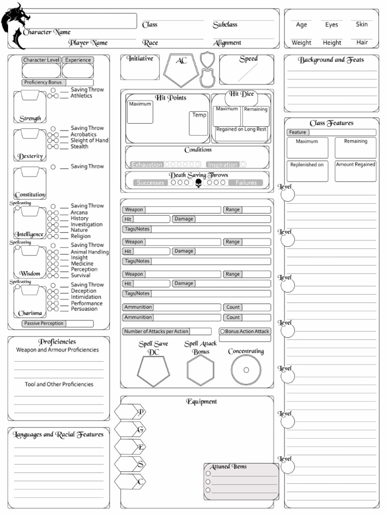 1970593-Complete_Character_Sheet_5e | PDF