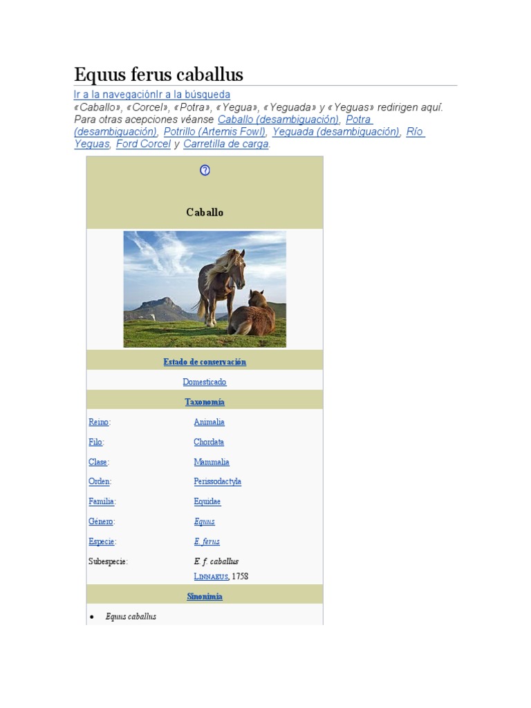 Equus Ferus Caballus | PDF | Caballos | Équidos