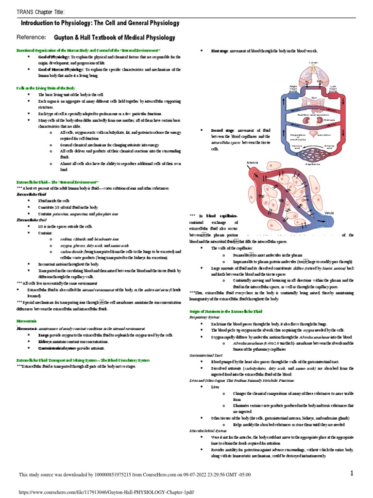 Introduction to Physiology | PDF | Human Body | Homeostasis