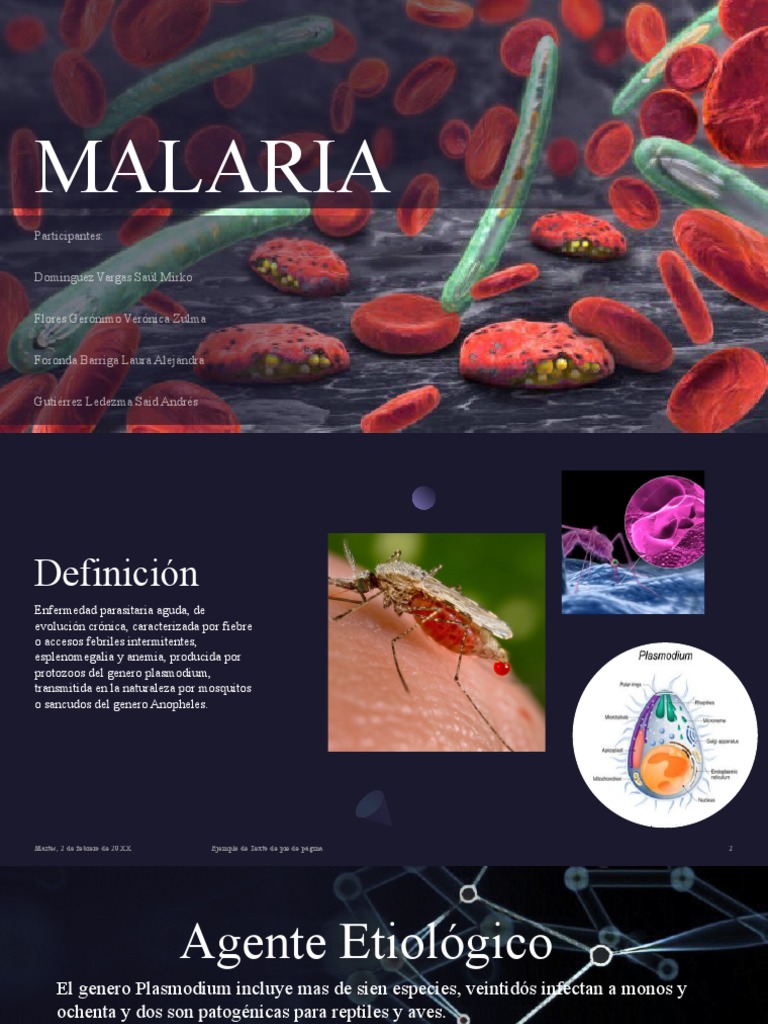Malaria | PDF | Hogar, jardinería y bricolaje | Ciencia y matemáticas