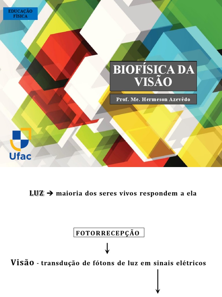 A anatomia e fisiologia da visão: estruturas e processos envolvidos na ...