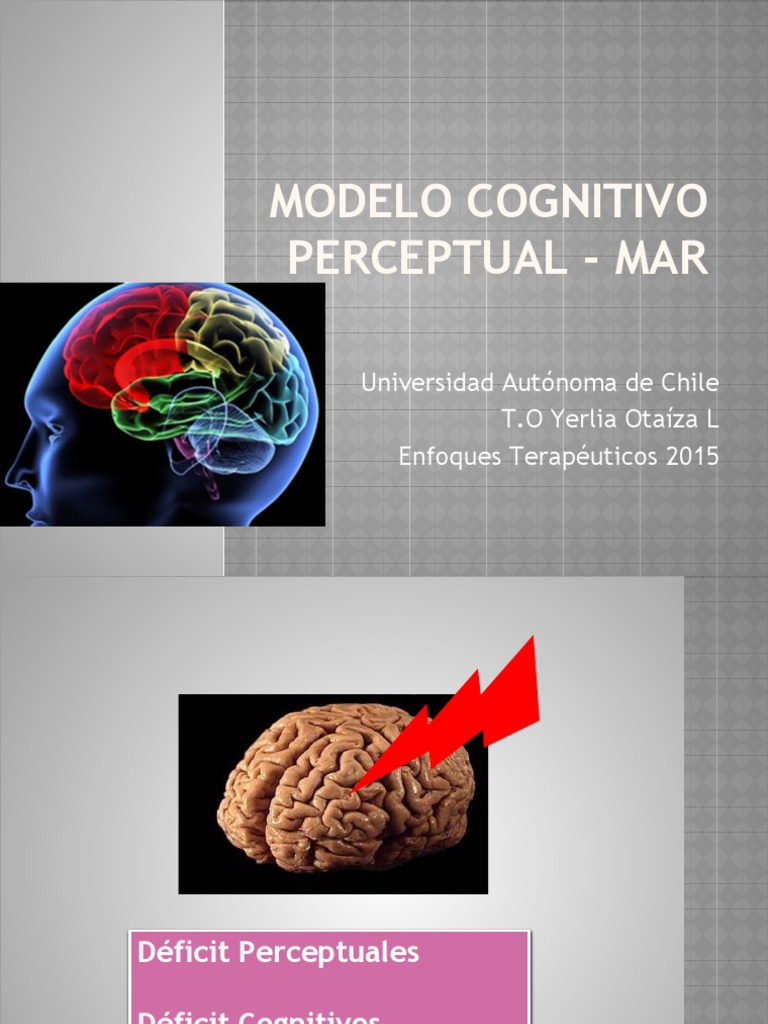 Clase 6 Modelo Cognitivo Perceptual | PDF