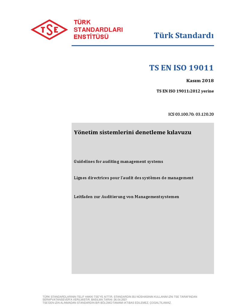 TS en Iso 19011 | PDF