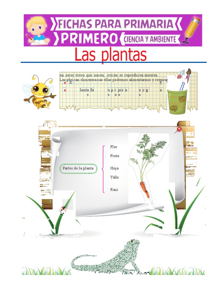 Las Plantas para Primero de Primaria | Descargar gratis PDF | Plantas ...
