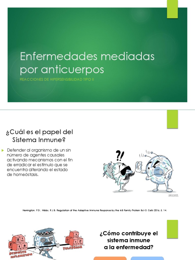 Enfermedades Por Anticuerpos RHS II | PDF | Hipotiroidismo | Tiroides