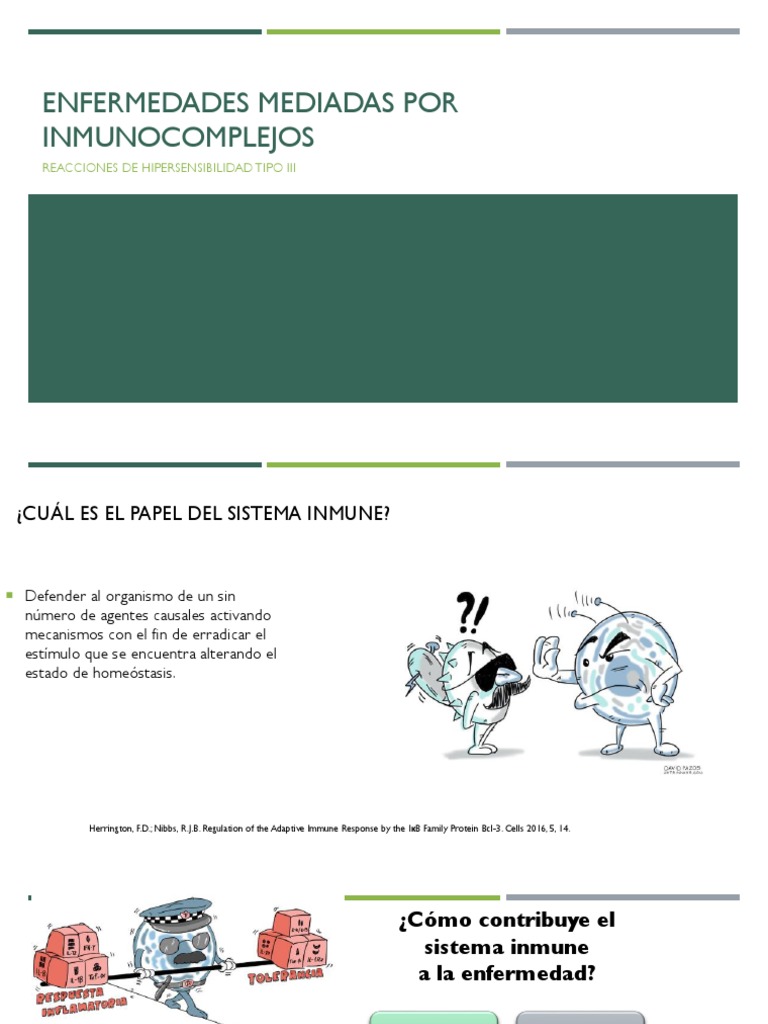 Enfermedades Por Inmunocomplejos RHS III | PDF | Sistema inmune ...