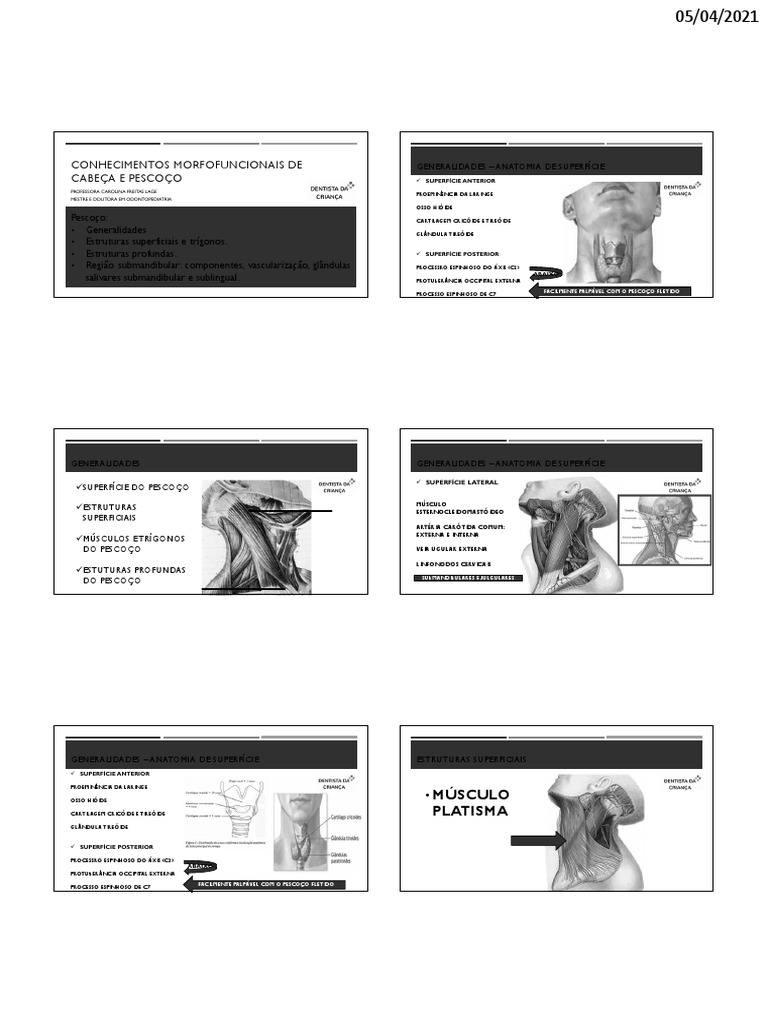 Aula6 20210405163414 | PDF