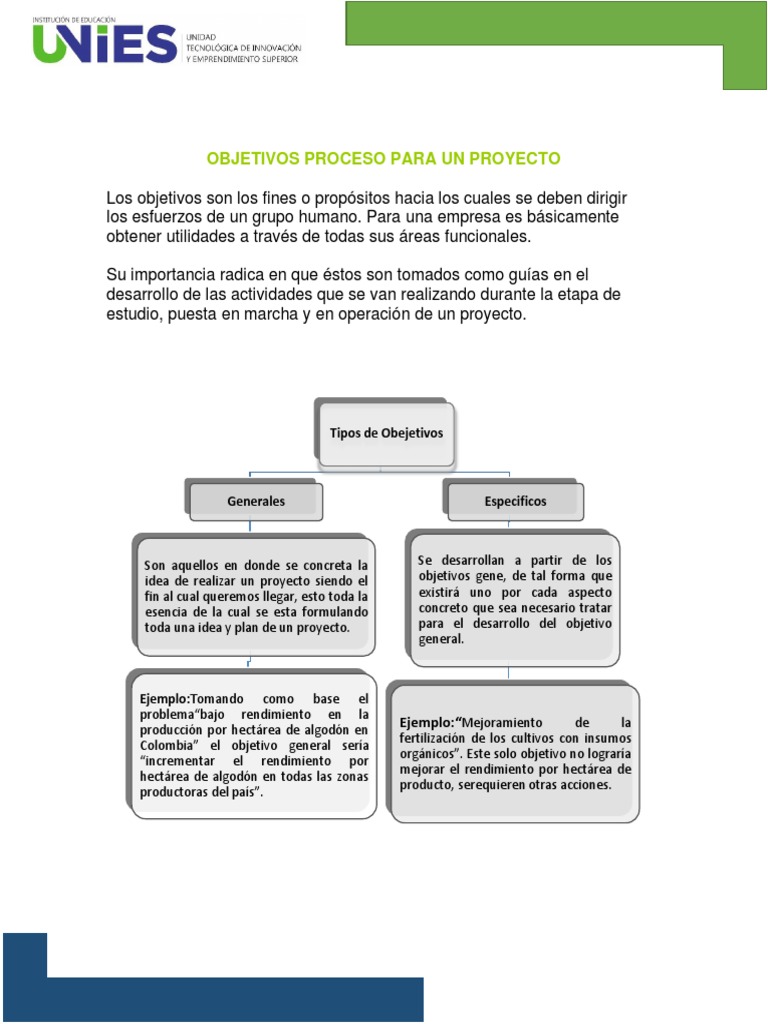 6.objetivos de Un Proyecto | PDF | Business