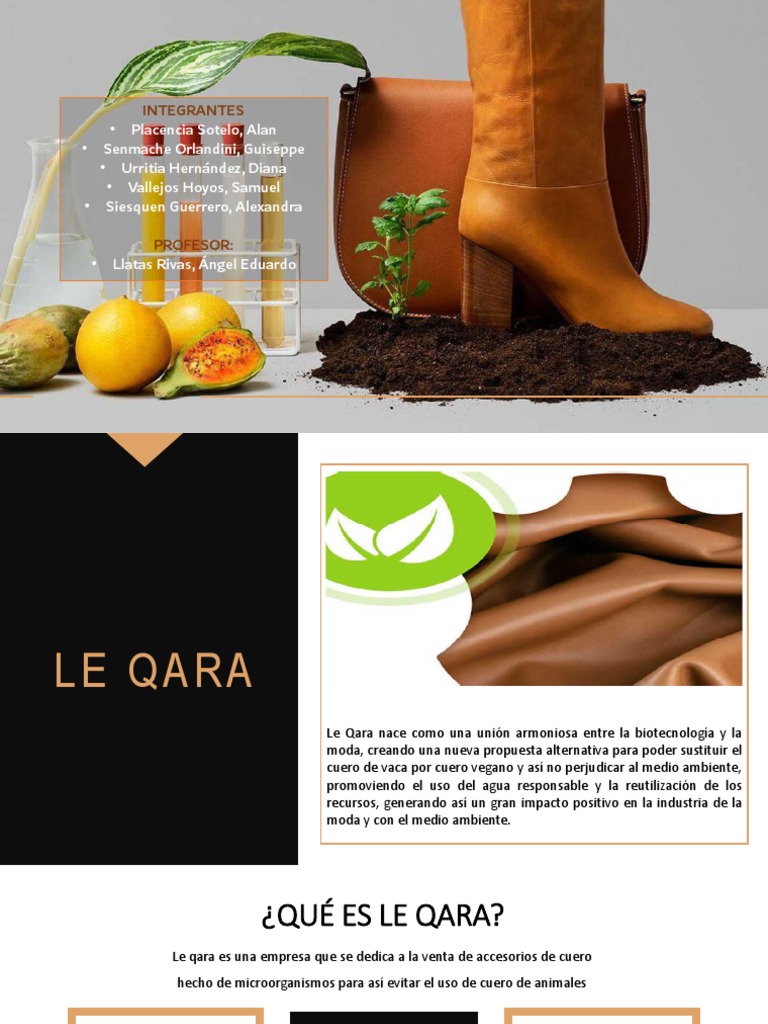 Presentación del proyecto Le Qara: Un emprendimiento de biocuero vegano ...