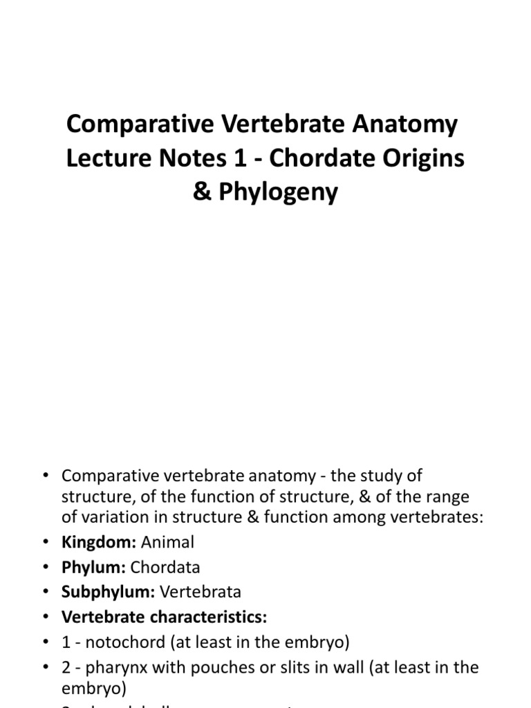 Comparative Anatomy of Vertebrates | PDF | Vertebrates | Amphibian