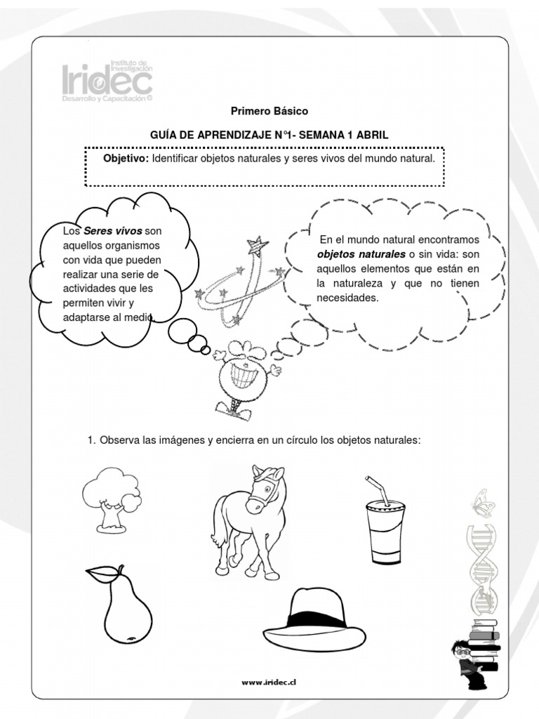 1 Basico Guias de Aprendizaje Abril Ciencias Naturales | PDF ... 1 Basico Guias de Aprendizaje Abril Ciencias Naturales | PDF ...