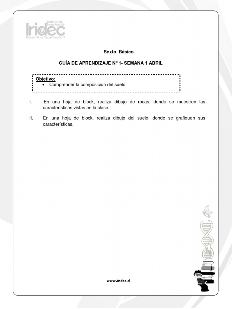 6 Basico Guias de Aprendizaje Abril Ciencias Naturales | PDF | Oxígeno ... 6 Basico Guias de Aprendizaje Abril Ciencias Naturales | PDF | Oxígeno ...