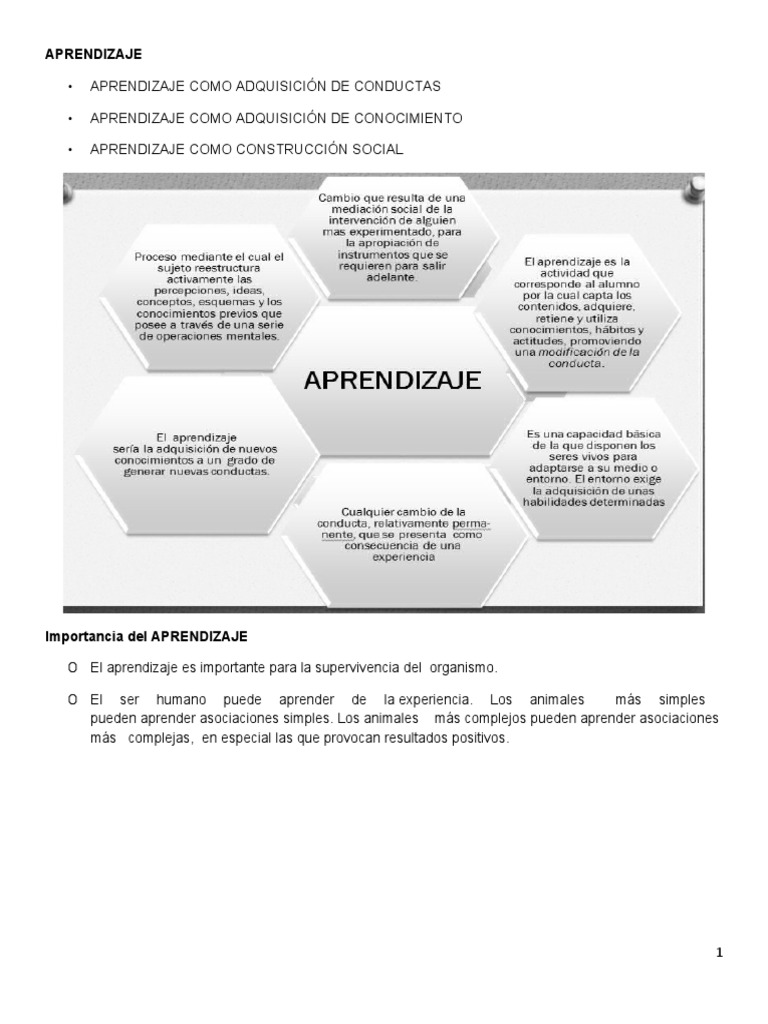 Aprendizaje Pdf Aprendizaje Sicología