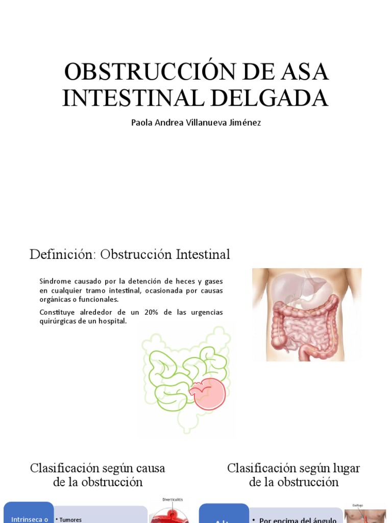 Obstrucción de Asa Intestinal Delgada | PDF | Especialidades Medicas ...