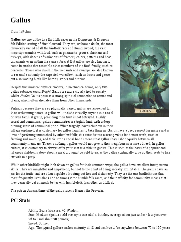 Gallus - 1d4chan | PDF | Birds