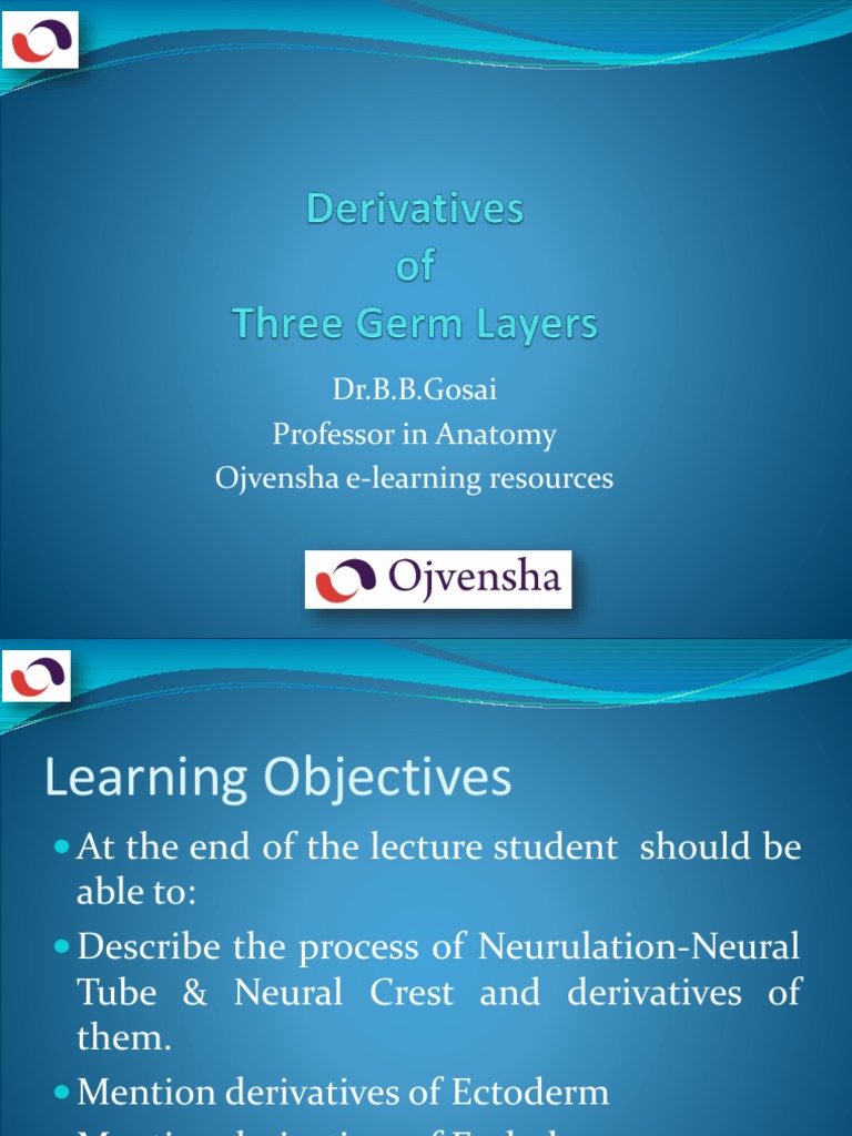 8_Derivatives of Germ Layers-Dr.gosai | PDF | Zoology | Neuroscience