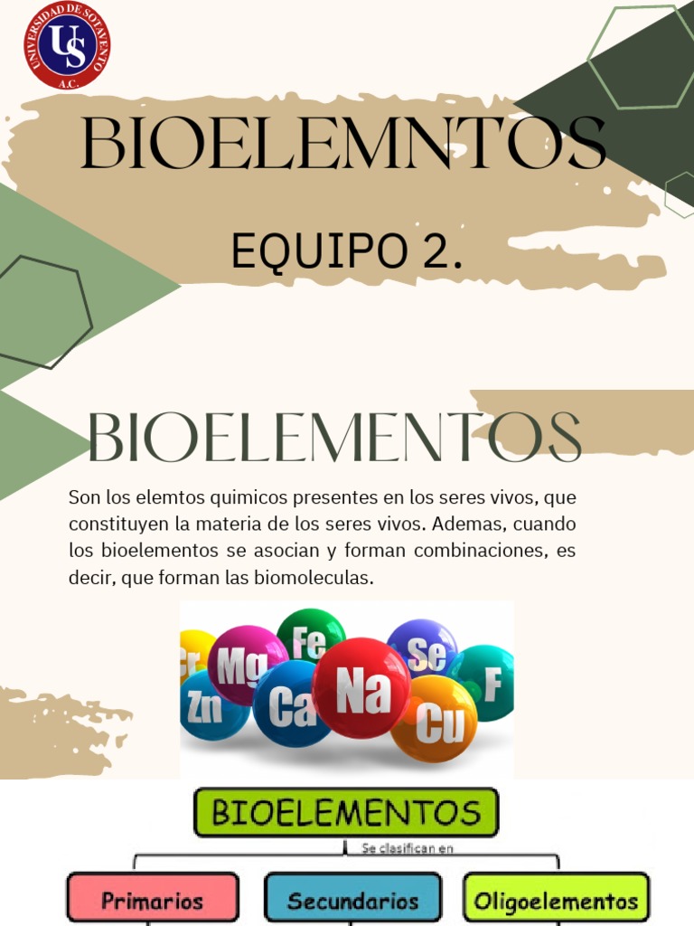Bioelementos: Primarios y Secundarios | PDF