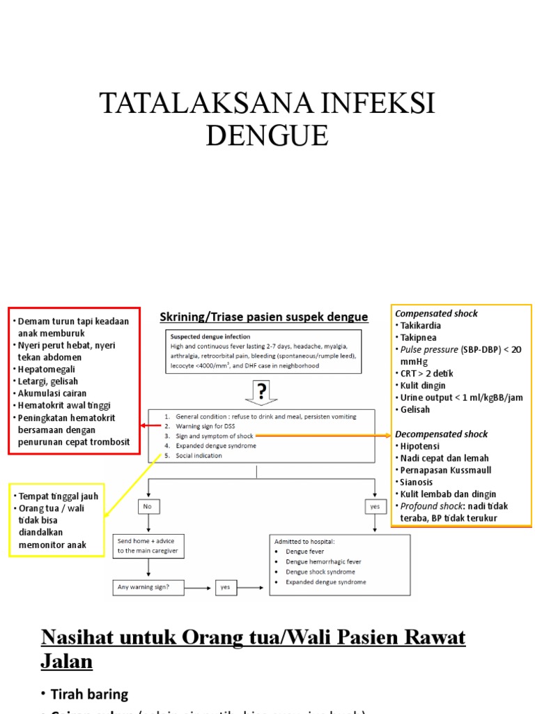 TATALAKSANA INFEKSI DENGUE | PDF