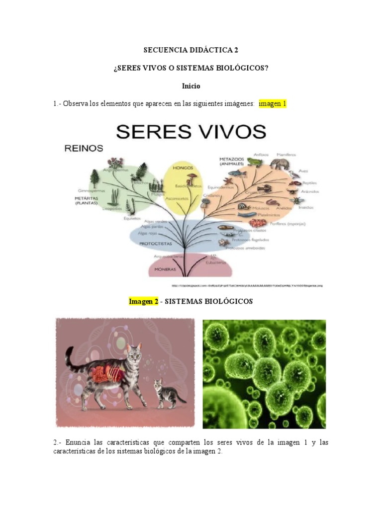 Secuencia Didactica 2 - Seres Vivos | PDF | Biología | Organismos