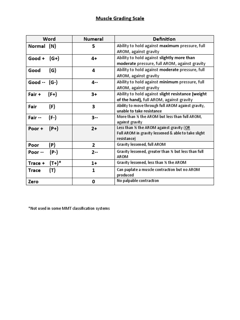 MMT Grading Scale | PDF