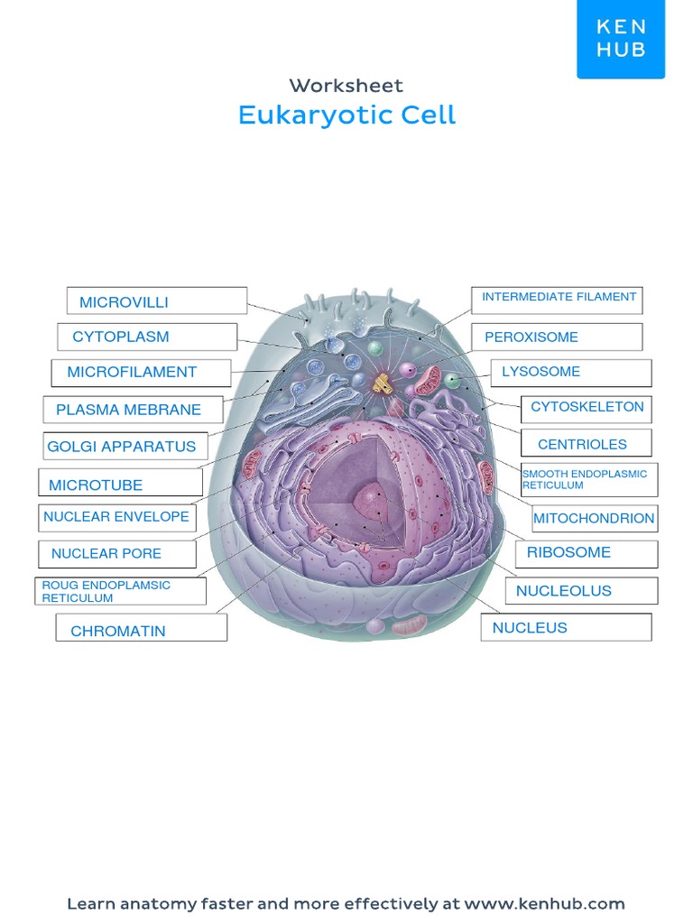 parts-of-a-cell-blank-pdf