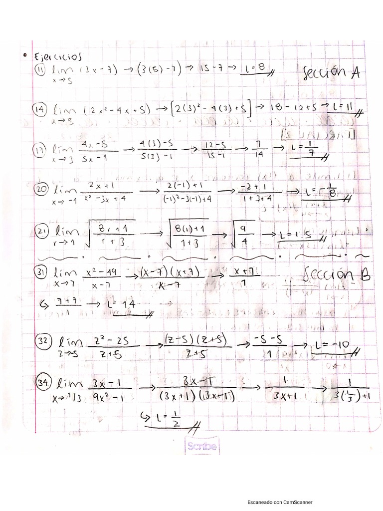 Ejercicios de Cálculo Integral I | PDF