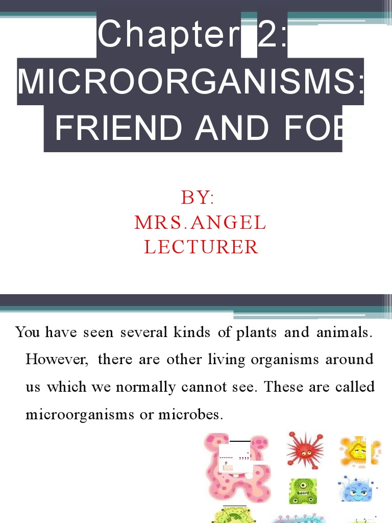 Class VIII Science Chapter 2 Microorganisms Friend and Foe | PDF | Microorganism | Food Preservation