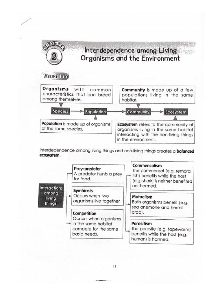 Interdependence Among Living Organisms and The Environment | PDF