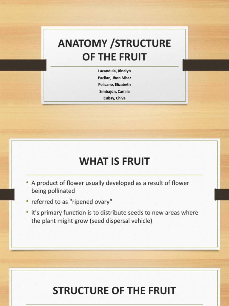 Anatomy or Structure of A Fruit | PDF | Fruit | Agriculture