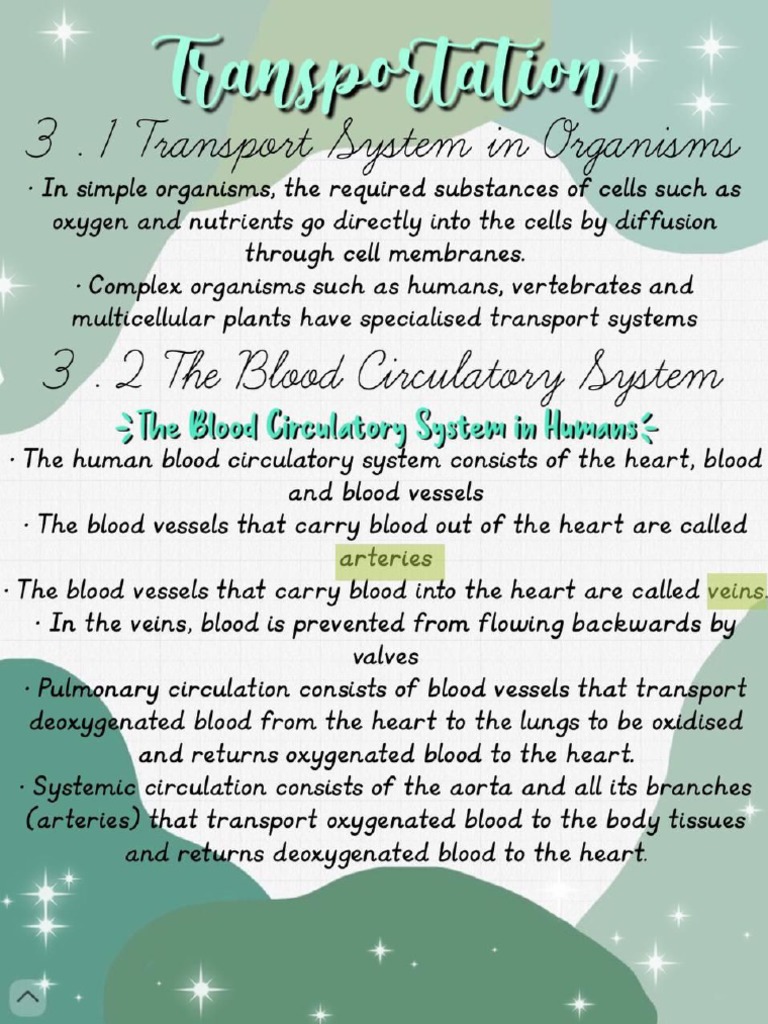 SC Ch3 f3 Studywithadmin | PDF