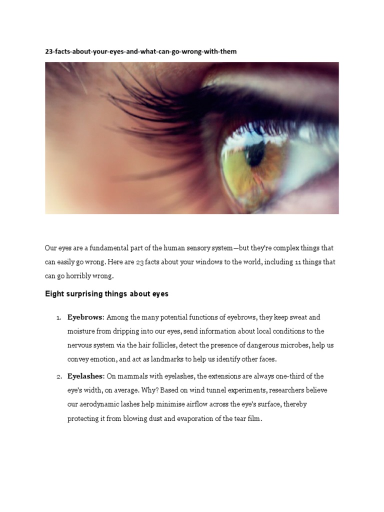 23 Facts About Your Eyes | PDF | Human Eye | Cornea