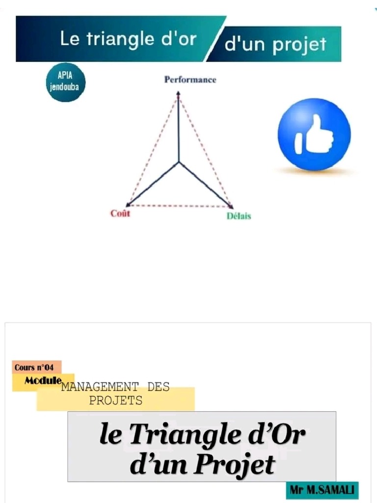 Triangle D'or D'un Projet | PDF