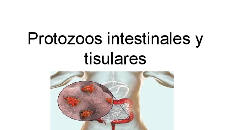Protozoos Intestinales y Tisulares | PDF