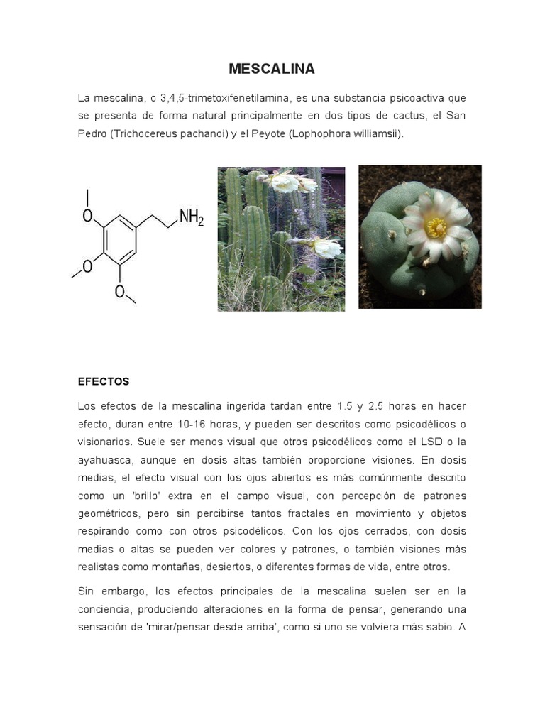 MESCALINA | PDF | Drogas que actúan sobre el sistema nervioso ...