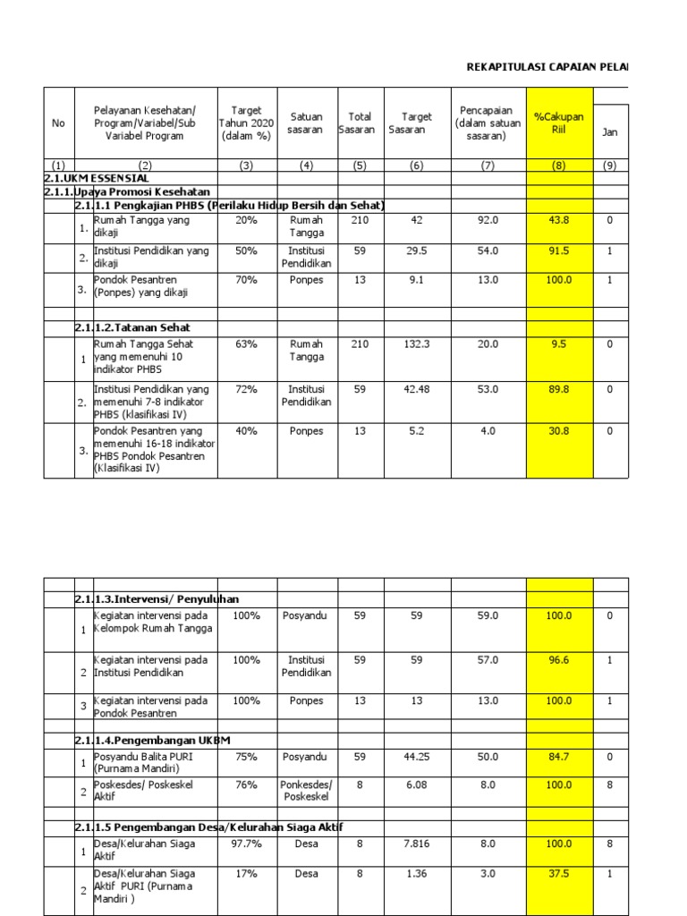 Capaian Pelaksanaan UKM Esensial 2020 | PDF