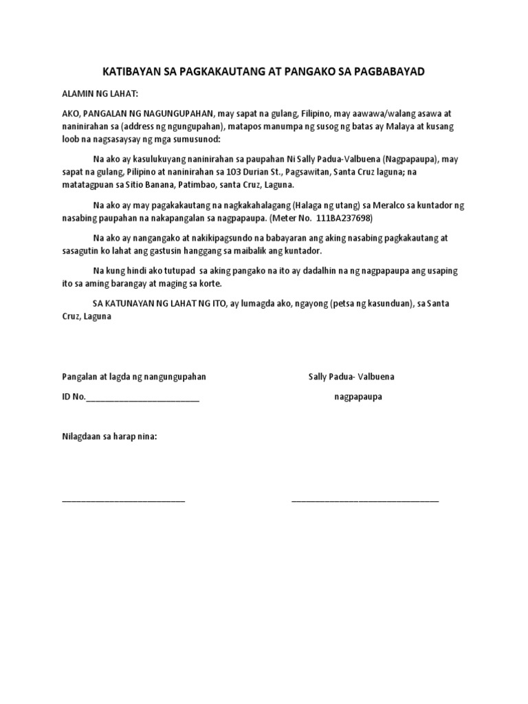 KATIBAYAN SA PAGKAKAUTANG AT PANGAKO SA PAGBABAYAD | PDF