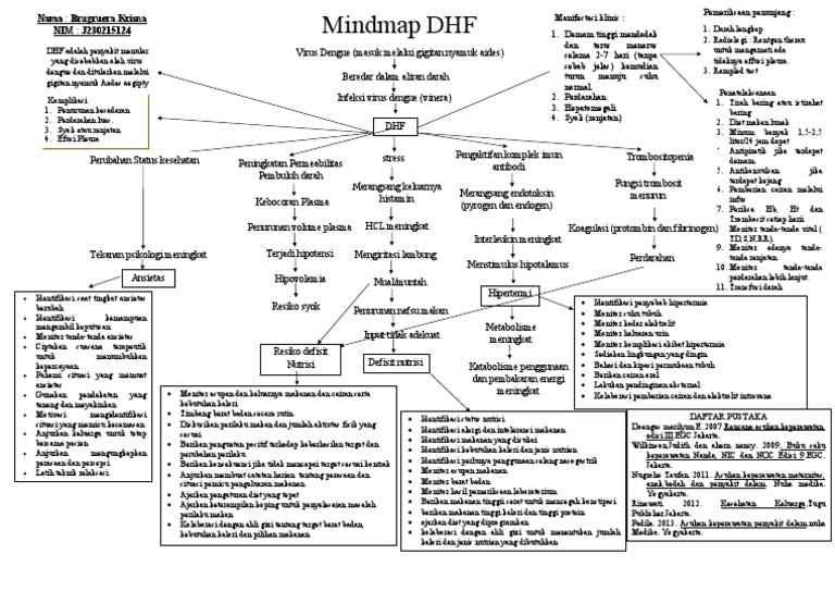 Mindmap DHF Bru | PDF