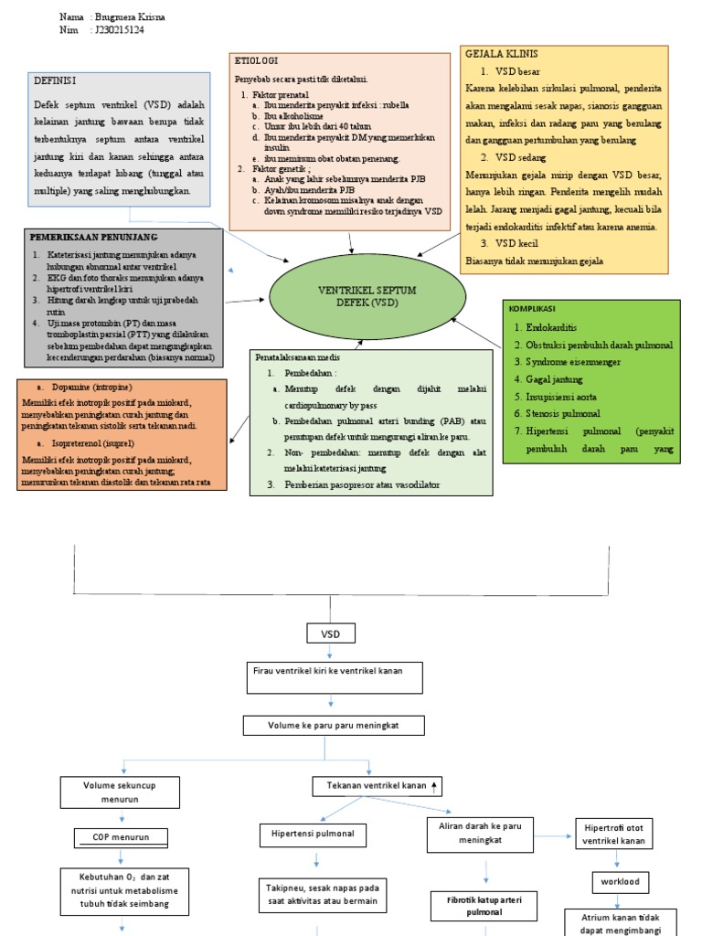 Mindmap VSD Bru | PDF