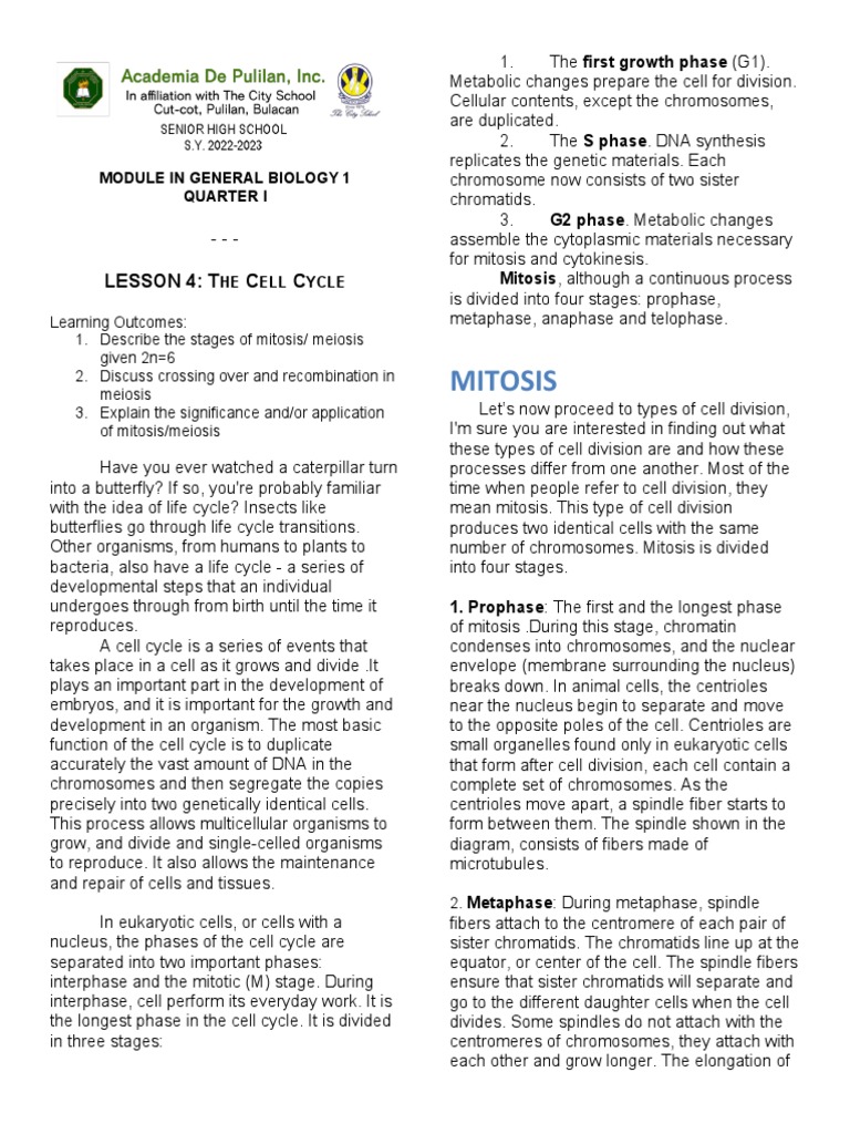 GEN-BIO-1-LESSON-4 | PDF | Mitosis | Meiosis