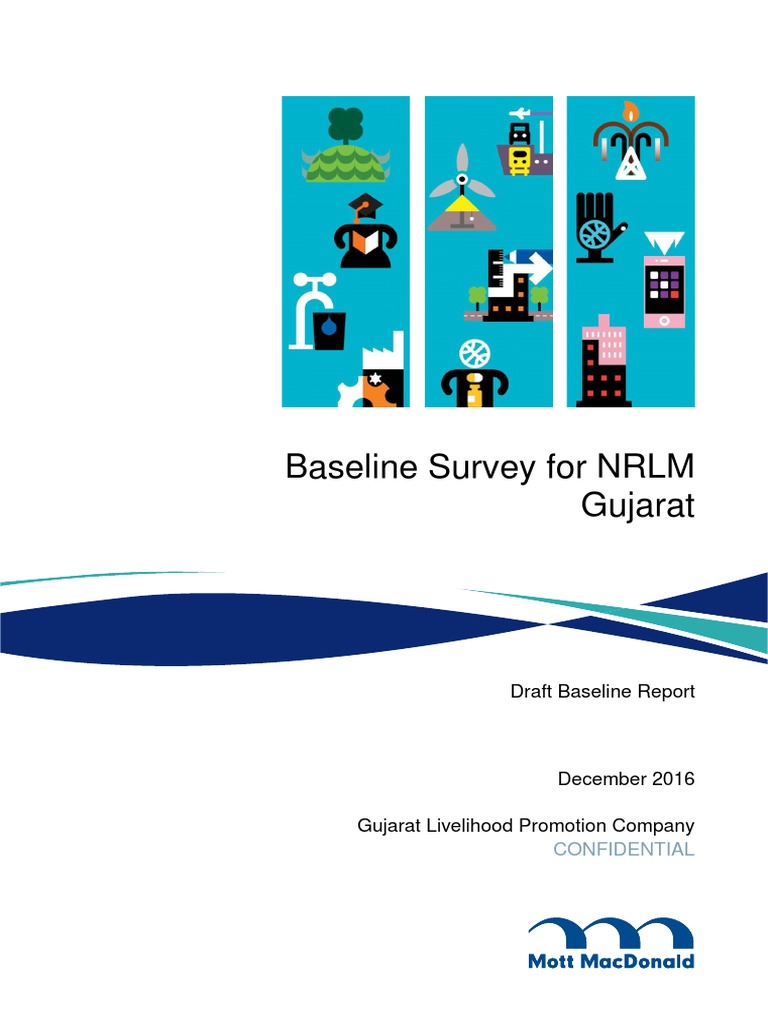 Gujarat Final Baseline Report | PDF | Loans | Rural Poverty