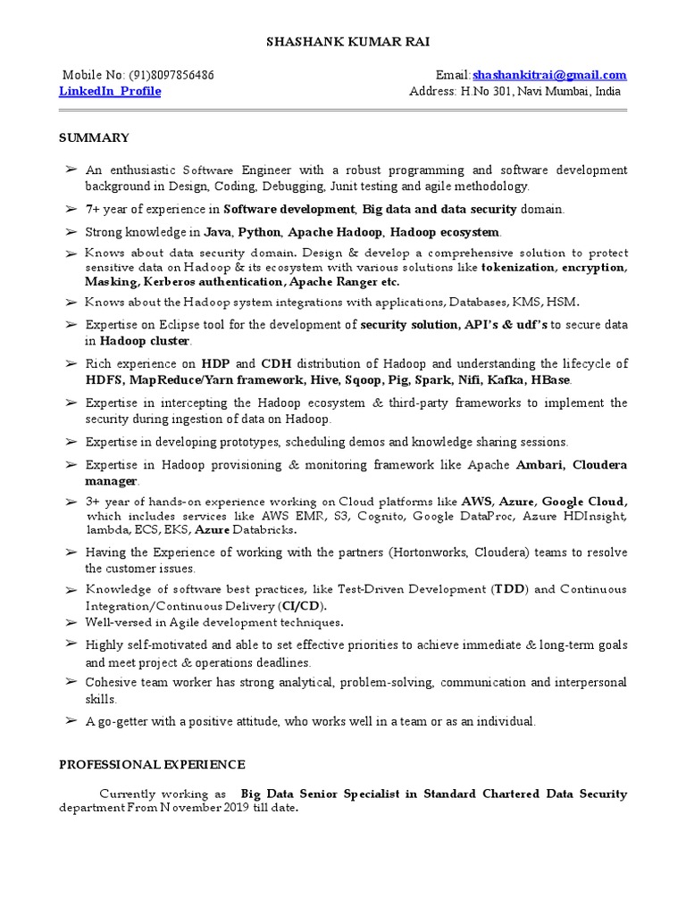 Shashank Kumar Rai Bigdata Pdf Apache Hadoop Big Data