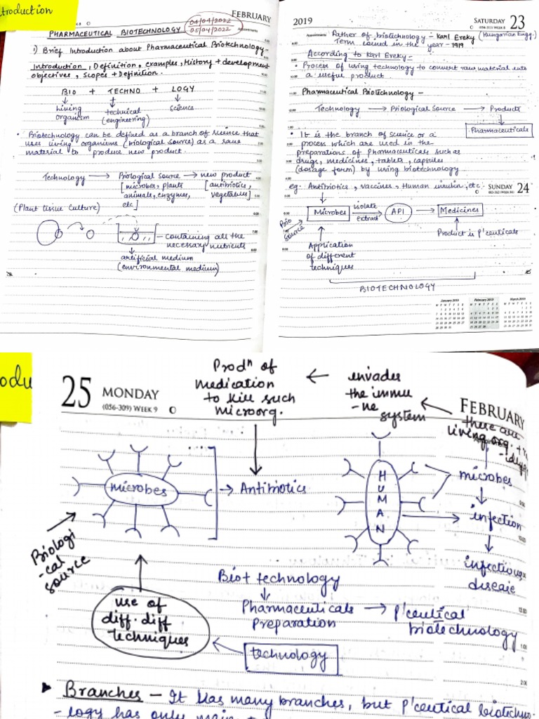 Biotech - Unit 1 | PDF