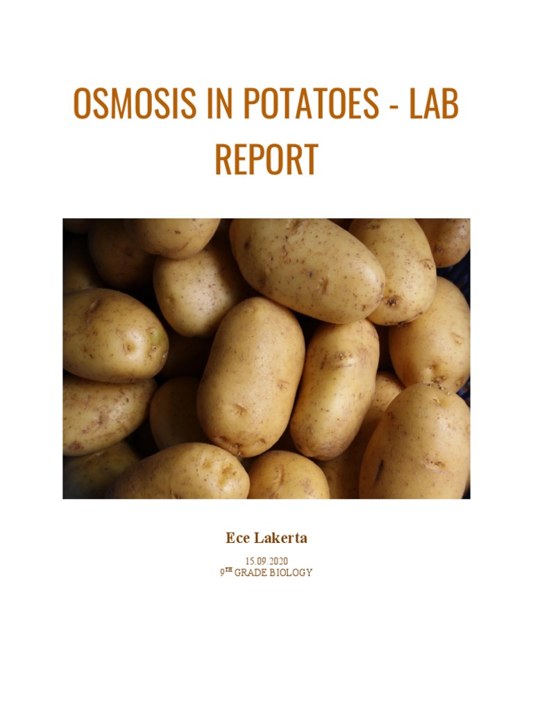 Osmosis Lab Report | PDF | Osmosis | Water
