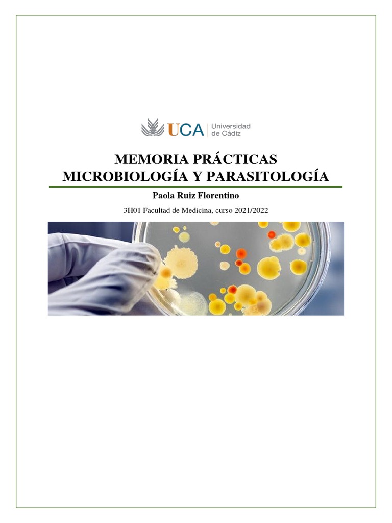 Memoria Prácticas Micro | PDF | Elisa | Anticuerpo