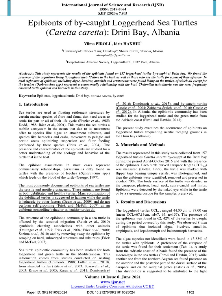 Piroli & Haxhiu (2020) Epibionts of By-Caught Loggerhead Sea Turtles (Caretta Caretta) - Drini ...
