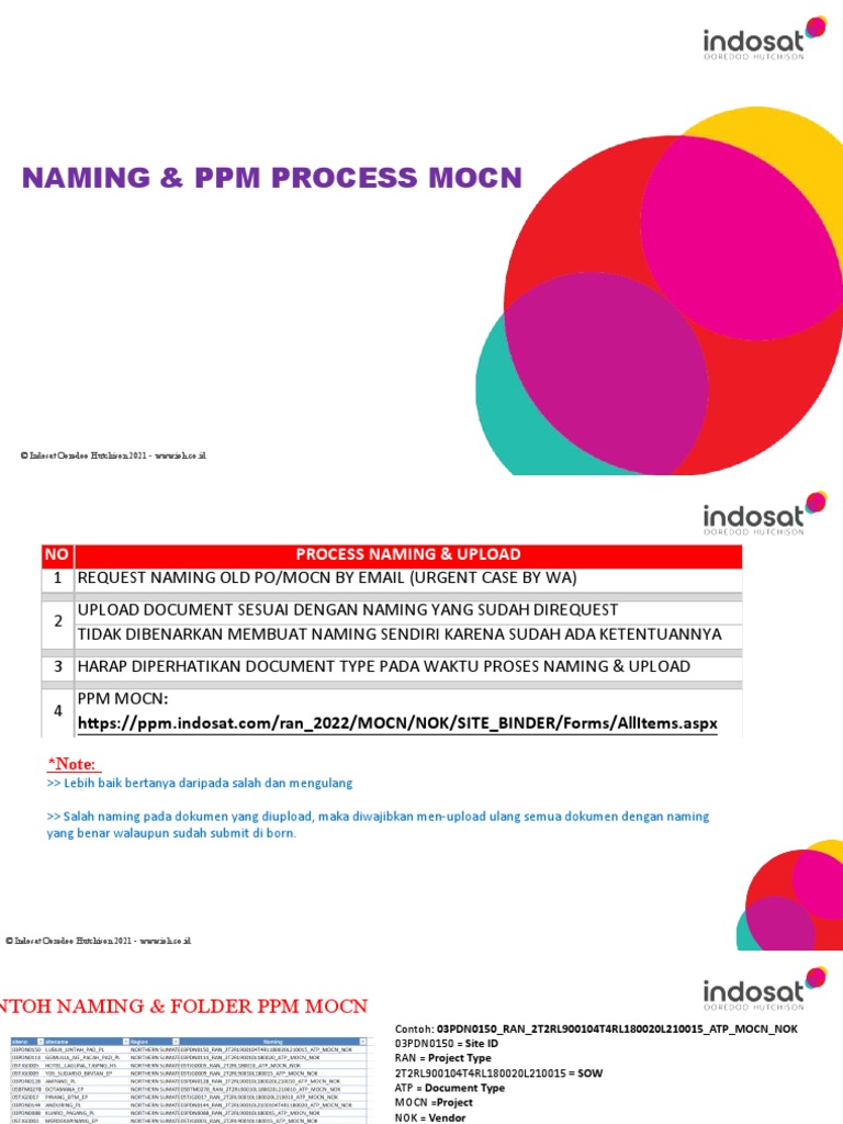 PPM Process | PDF